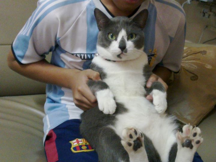 Abu Yang Comel Dan Gemuk | kami sayaNg kuciNg