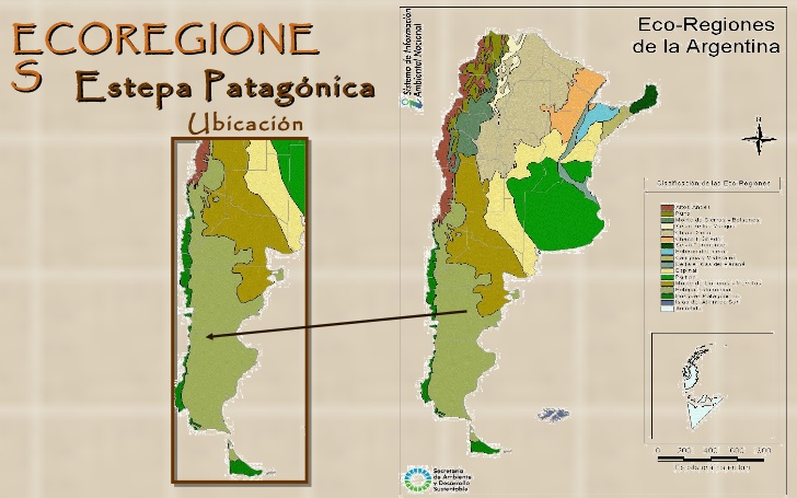 Argentina nativa: Estepa patagónica: