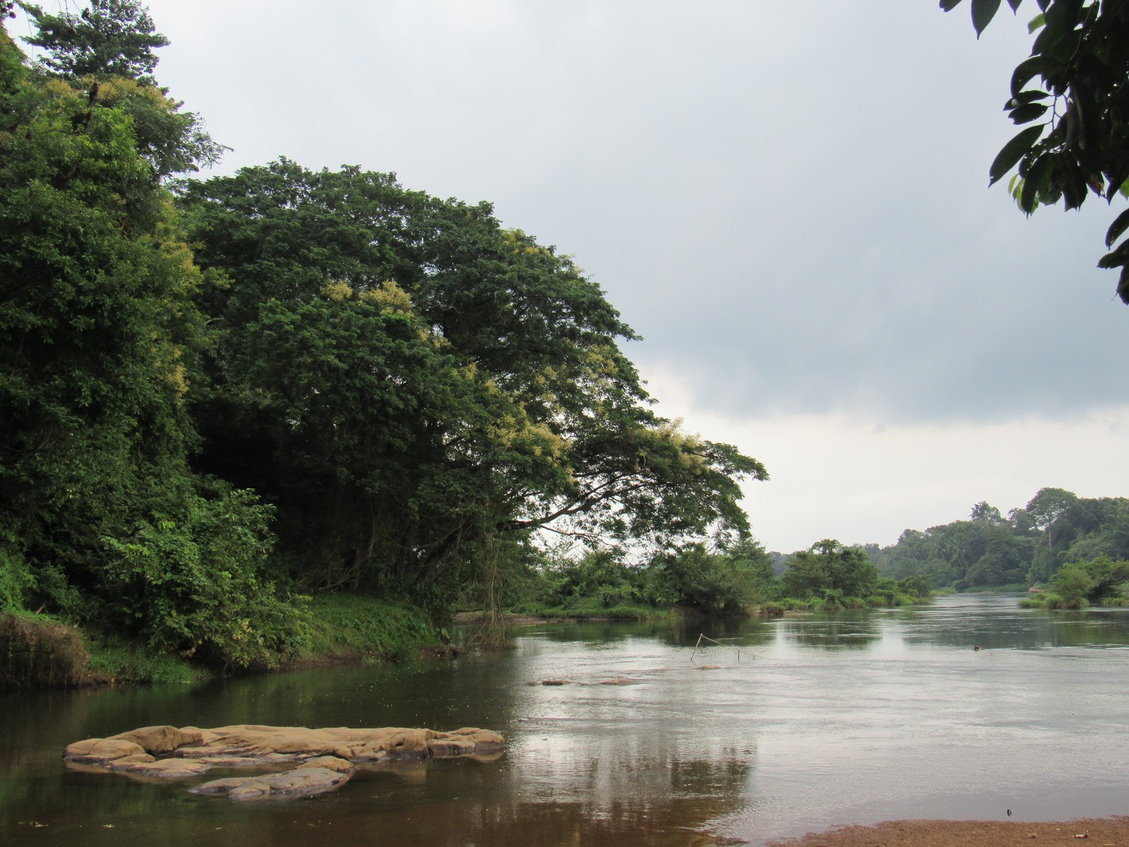 KERALA: AN ODYSSEY: THE PERIYAR RIVER