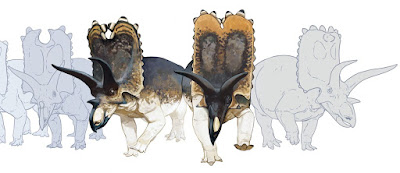 Species New to Science: [Paleontology • 2020] Navajoceratops sullivani ...