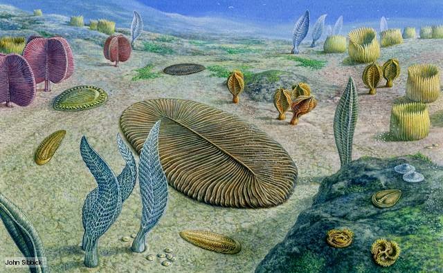 Paleontología y Evolución en la UCM: Descubierto un organismo de más de ...