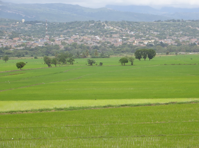 Fotos e Imágenes del Perú: Bagua