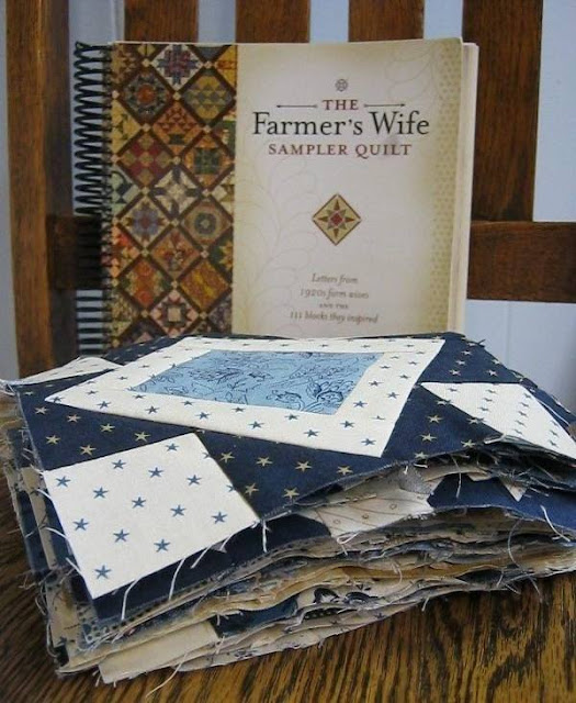 Laugh yourself into Stitches: The complete set of Farmer's Wife Quilt ...