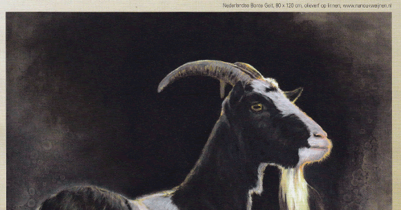 Nanouk Weijnen, beeldend kunstenaar: Nu in Landleven mijn column over ...