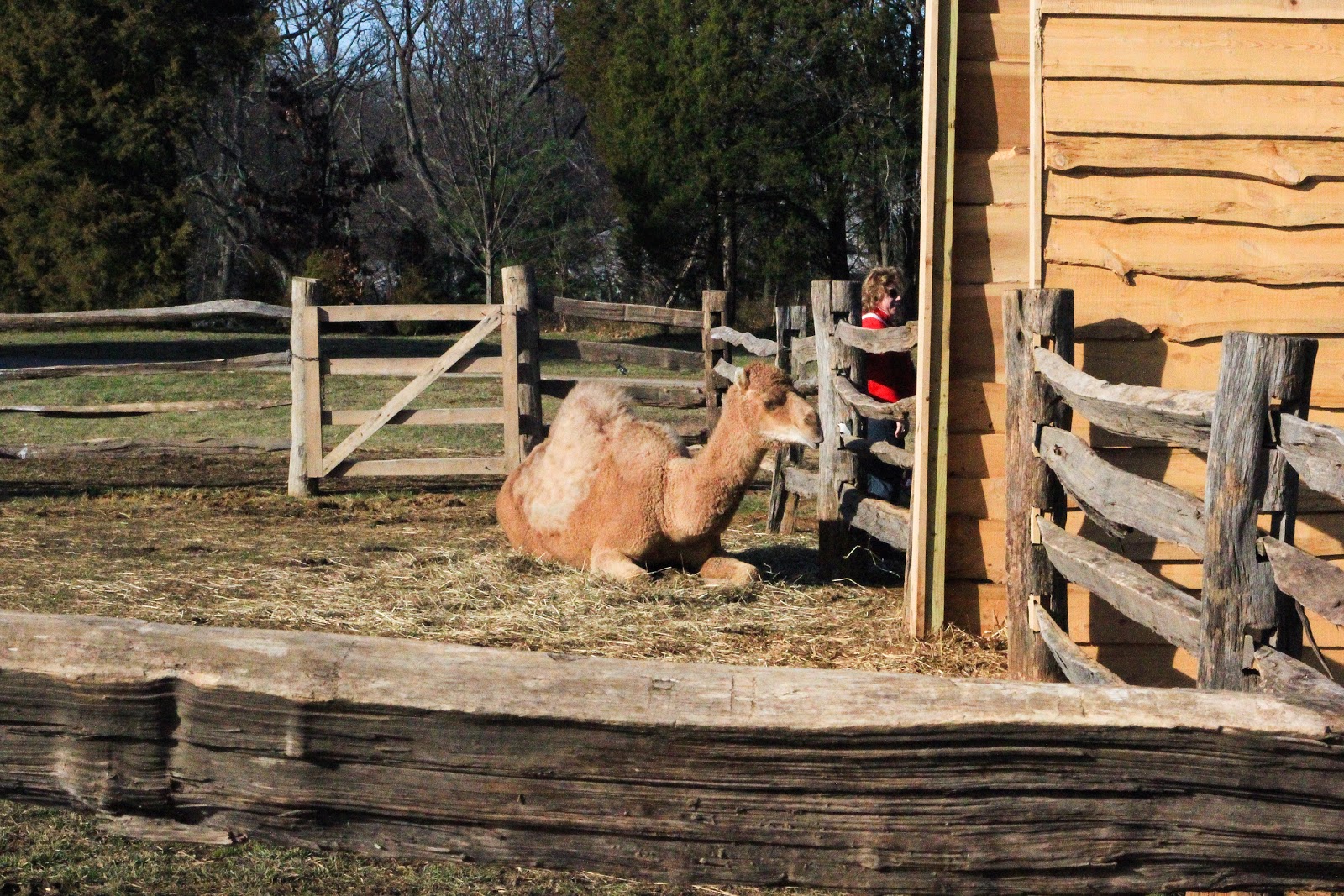 Adventures with Jude: Visiting George Washington's Mount Vernon