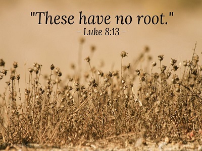 Welcome to StinoWorld: Morning Devotion - These Have No Root