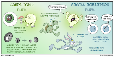 medical: Adie's vs. Argyll Robertson pupil