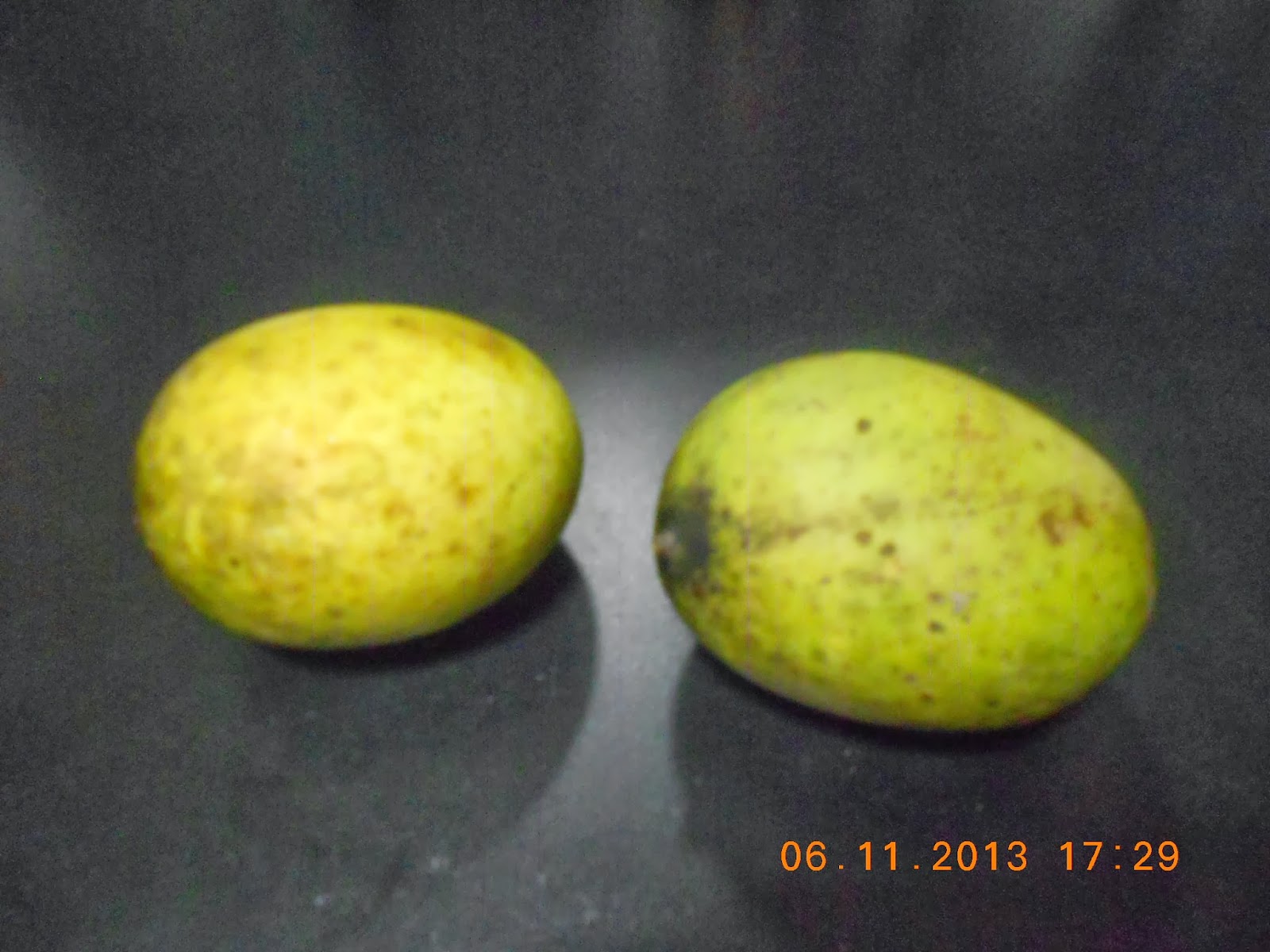 namakucella: BAU-BAU BACANG.....