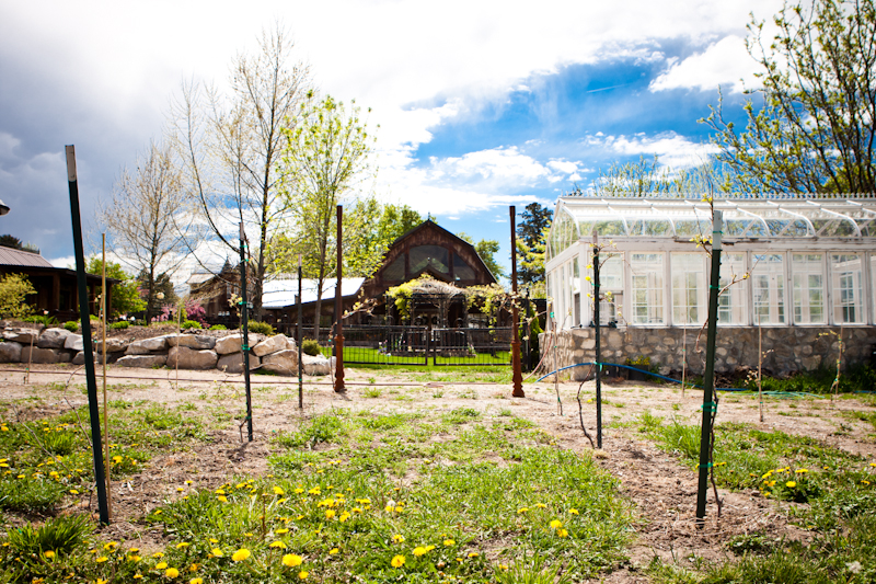 Michael Lloyd Photography: Wadley Farms in the Springtime