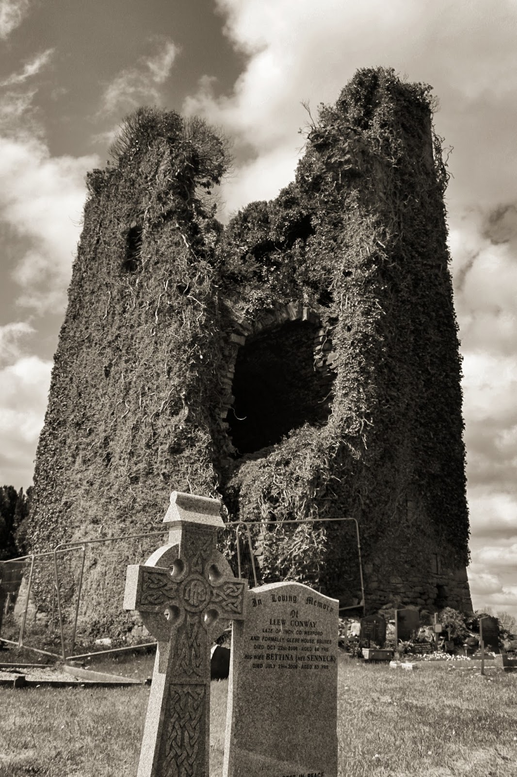 Historic Sites of Ireland: Bruree Castle (aka Ballynoe)