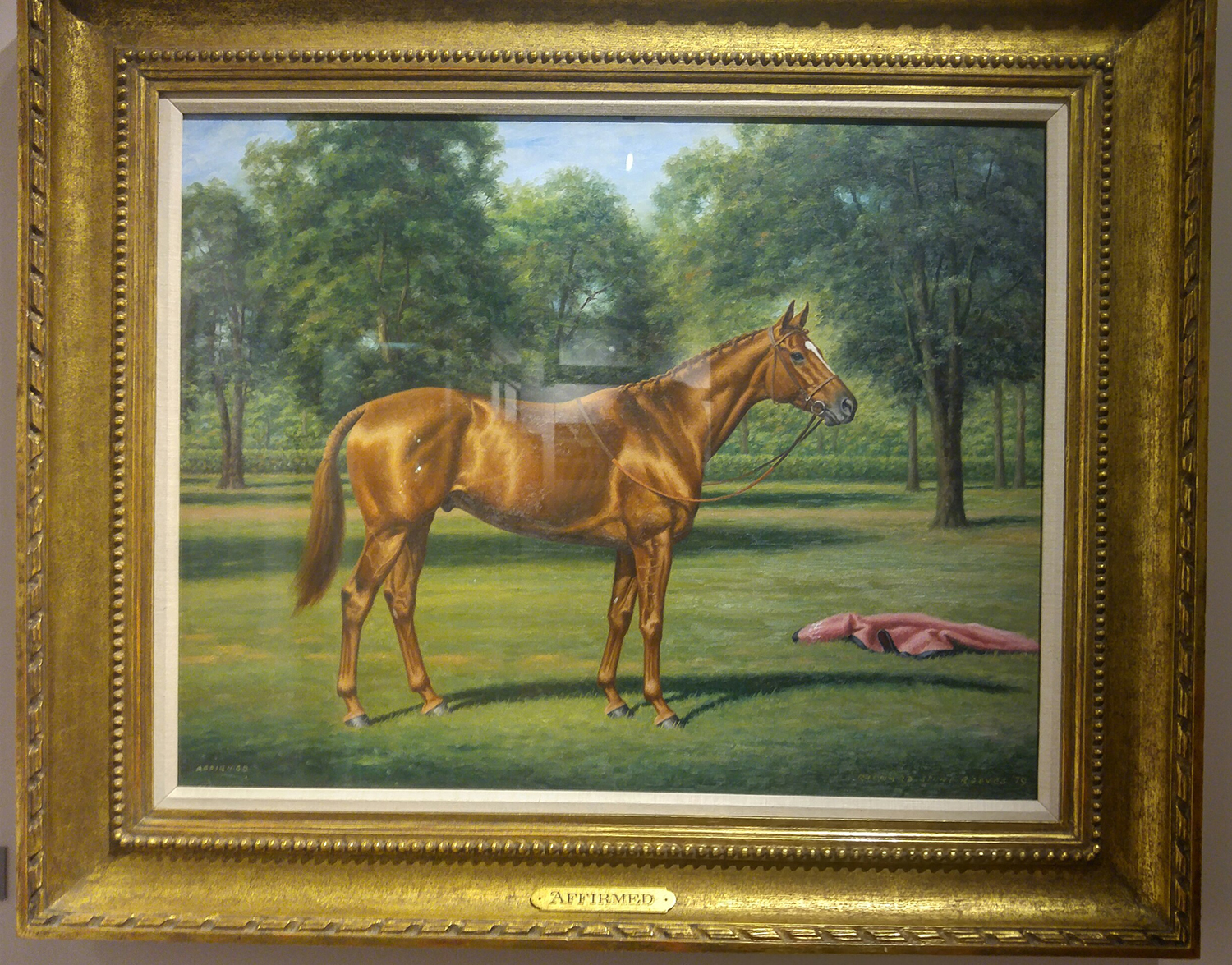 Model Horse Collectibility: May 2017