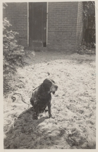 Verheul is de naam, het leven een verhaal: Herinneringen aan mijn ...