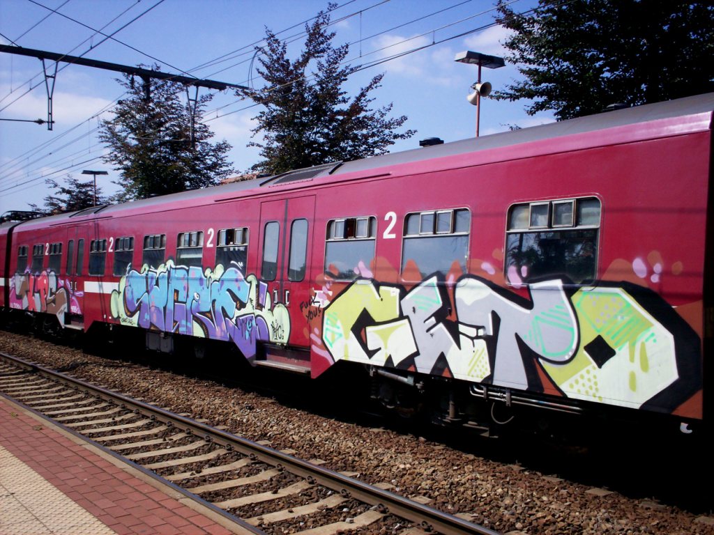 TLPS SUGRE GETO Art on Train
