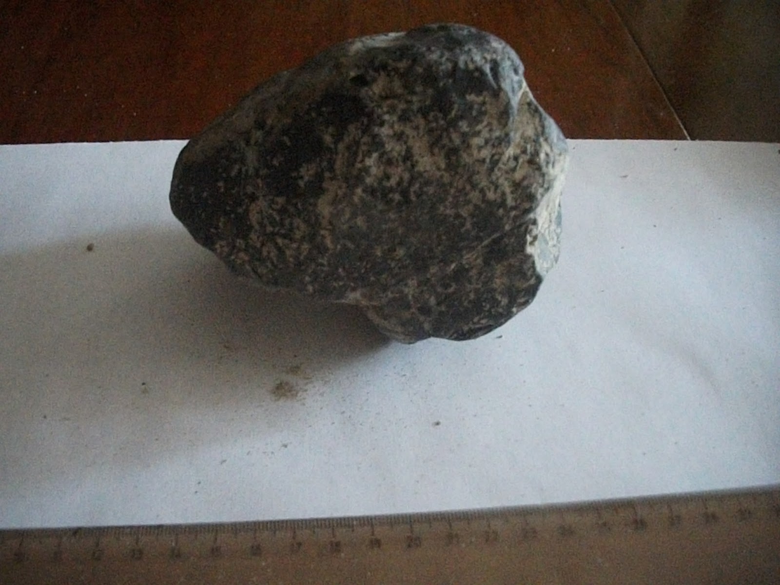 Publicatie de mineralogie pentru amatori: Nodul de cremene cu urme de ...