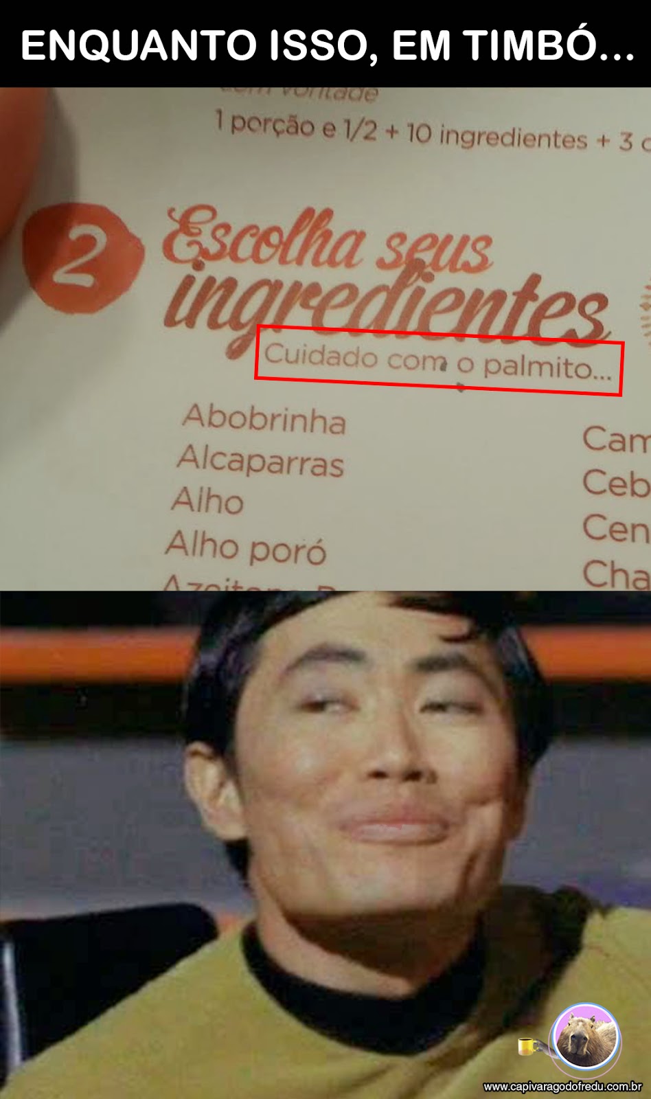 Capivara Godofredu | Blog de Humor: Enquanto isso, em Timbó...