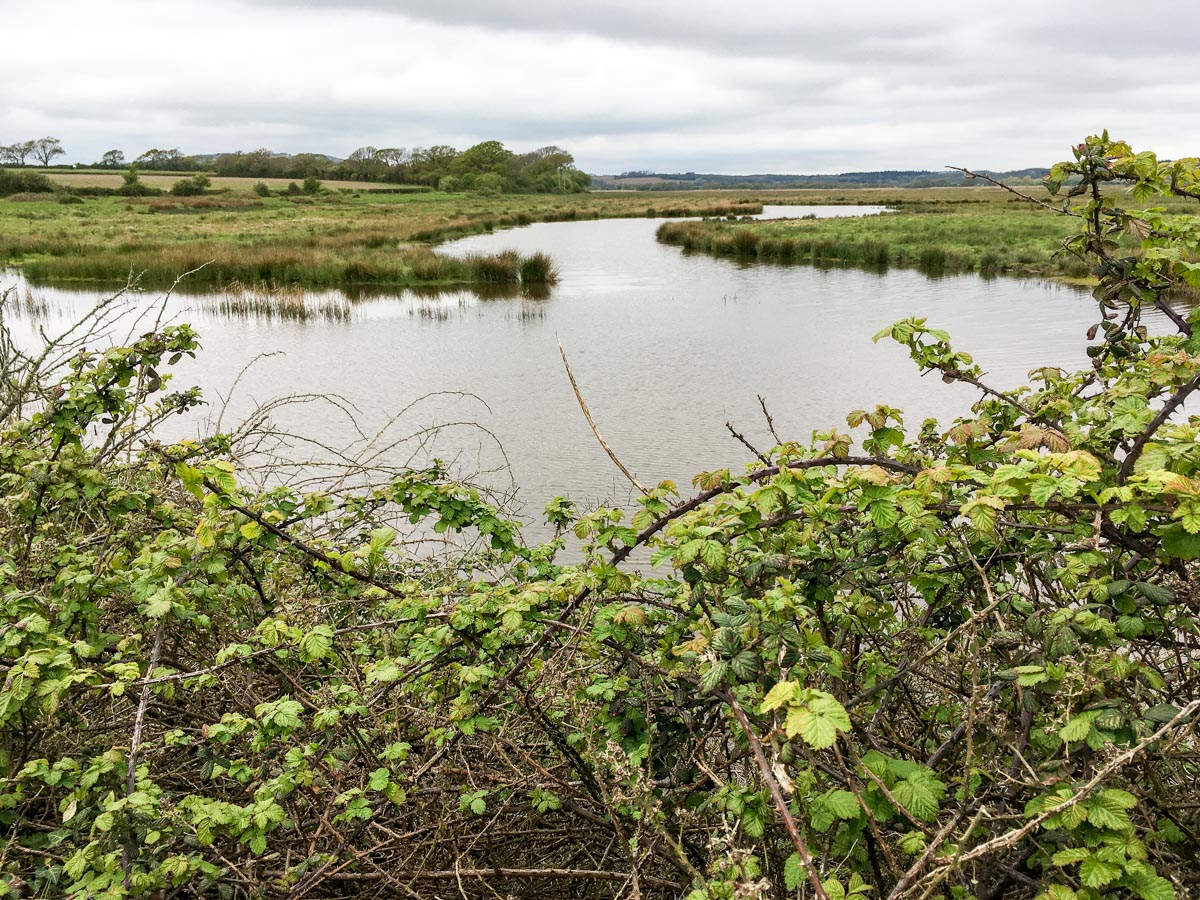 Isle of Wightin kävelyfestivaalilla: Yar-joen vartta ja rannikkomaisemia