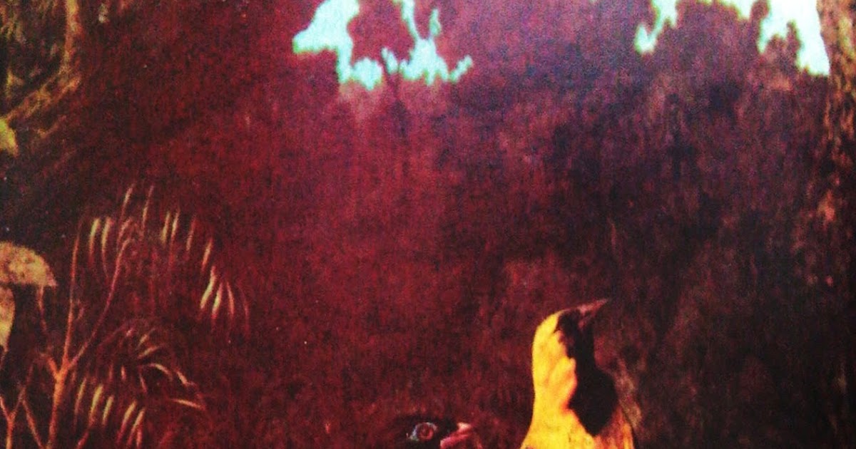 CARACAS EN RETROSPECTIVA: El Turpial Ave Nacional