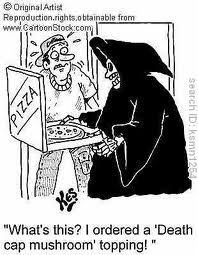 D is for Death Cap Mushroom.....