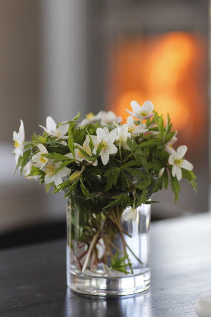 Trevlig Valborgsmässoafton!