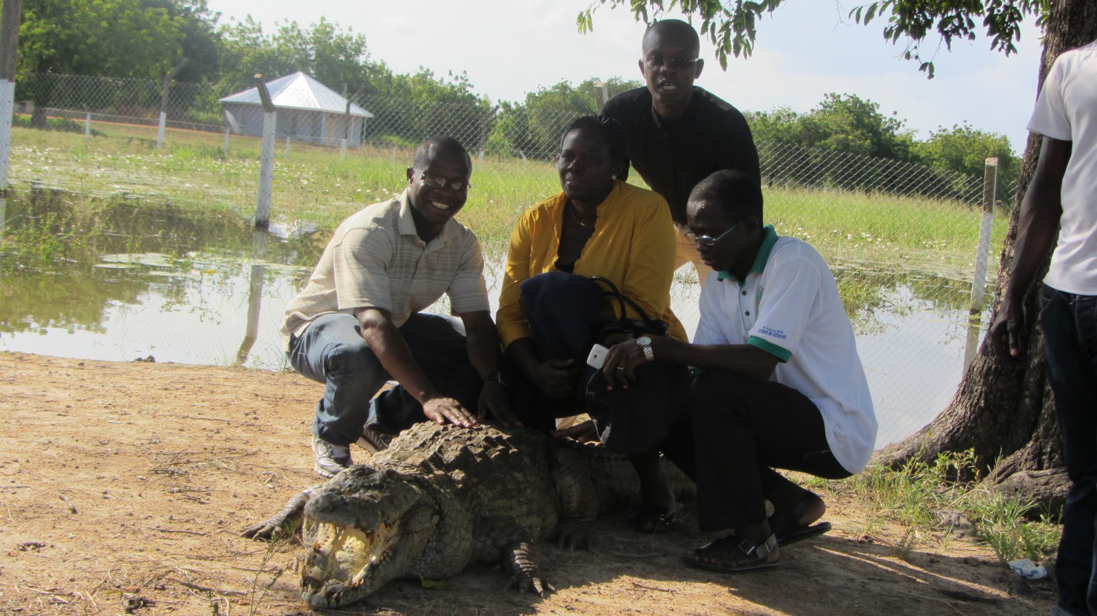 Journey with Deacon Robert to Ghana: VISIT TO THE FRIENDLY CROCODILES ...