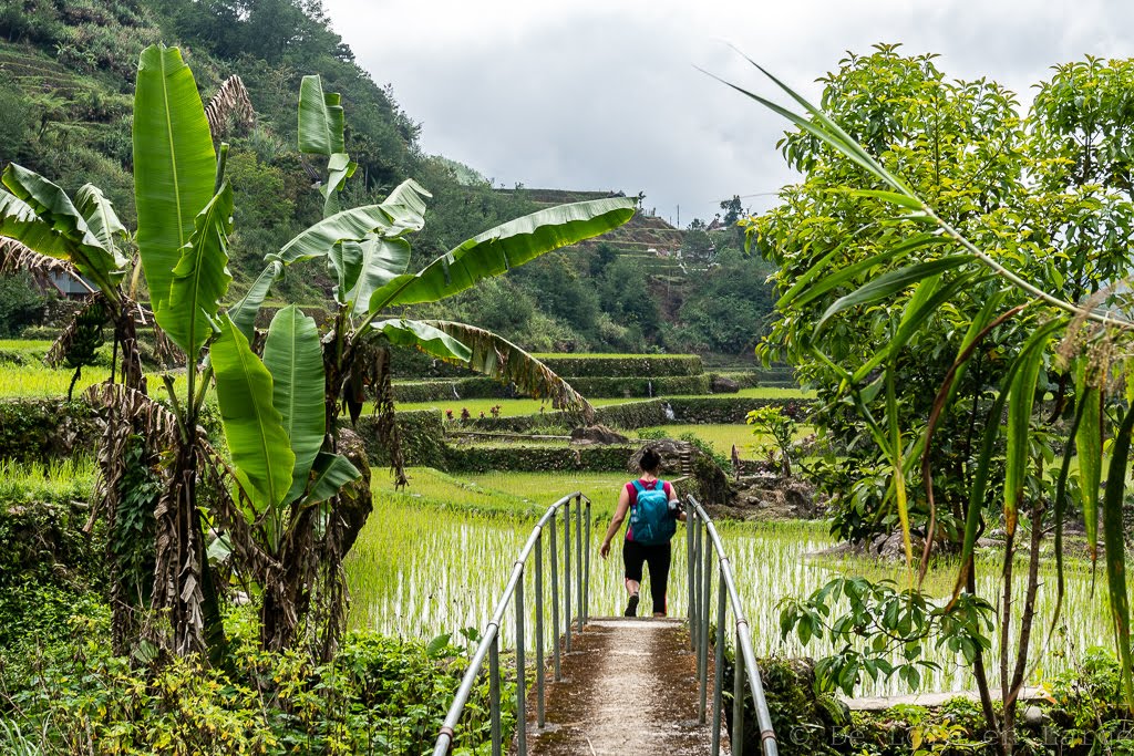 De loin en large: septembre 2018