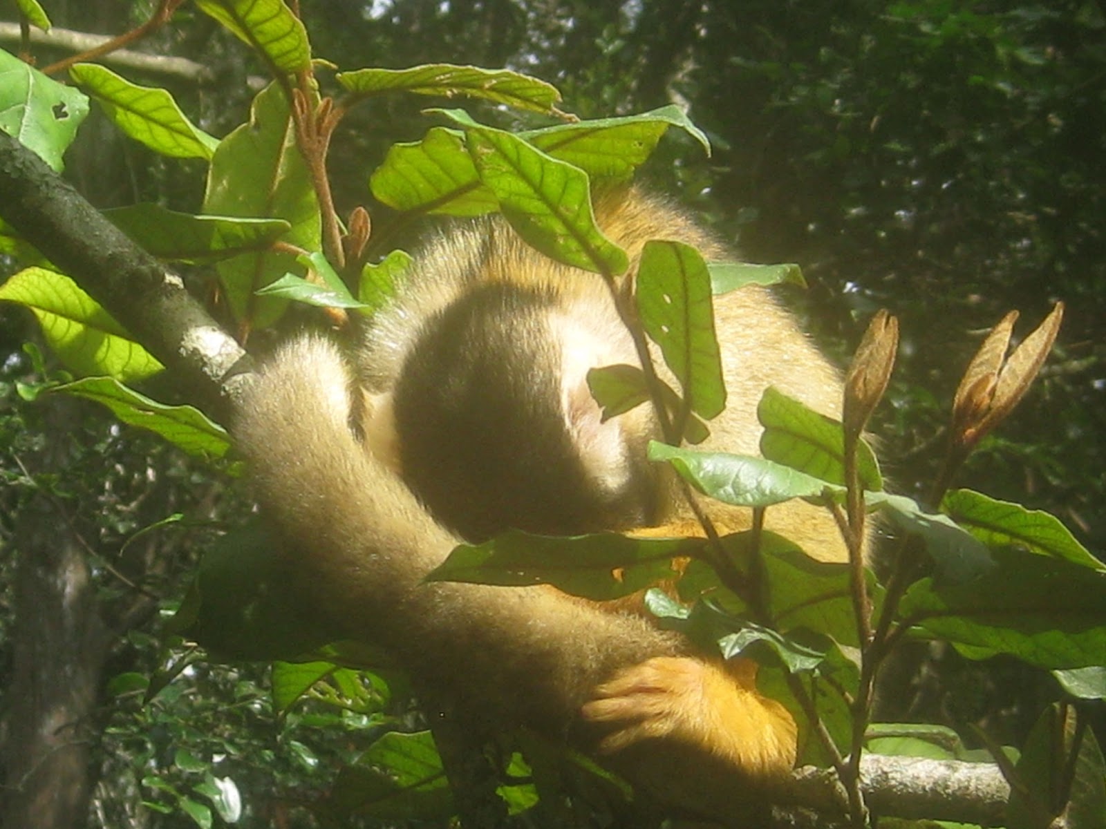 Poetic Reflections: The Garden Route