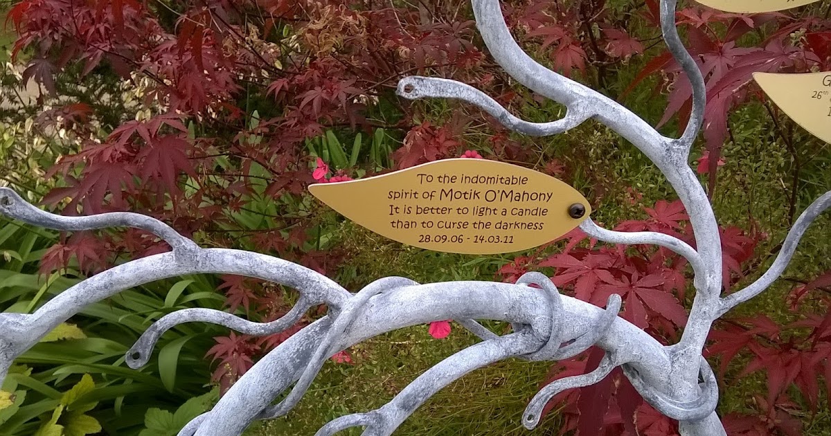 In Loving Memory of Motik O'Mahony: Motik's memorials