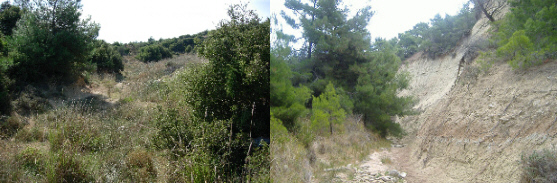 Roads to the Great War: Gully Ravine at Helles: Missed Opportunity and ...