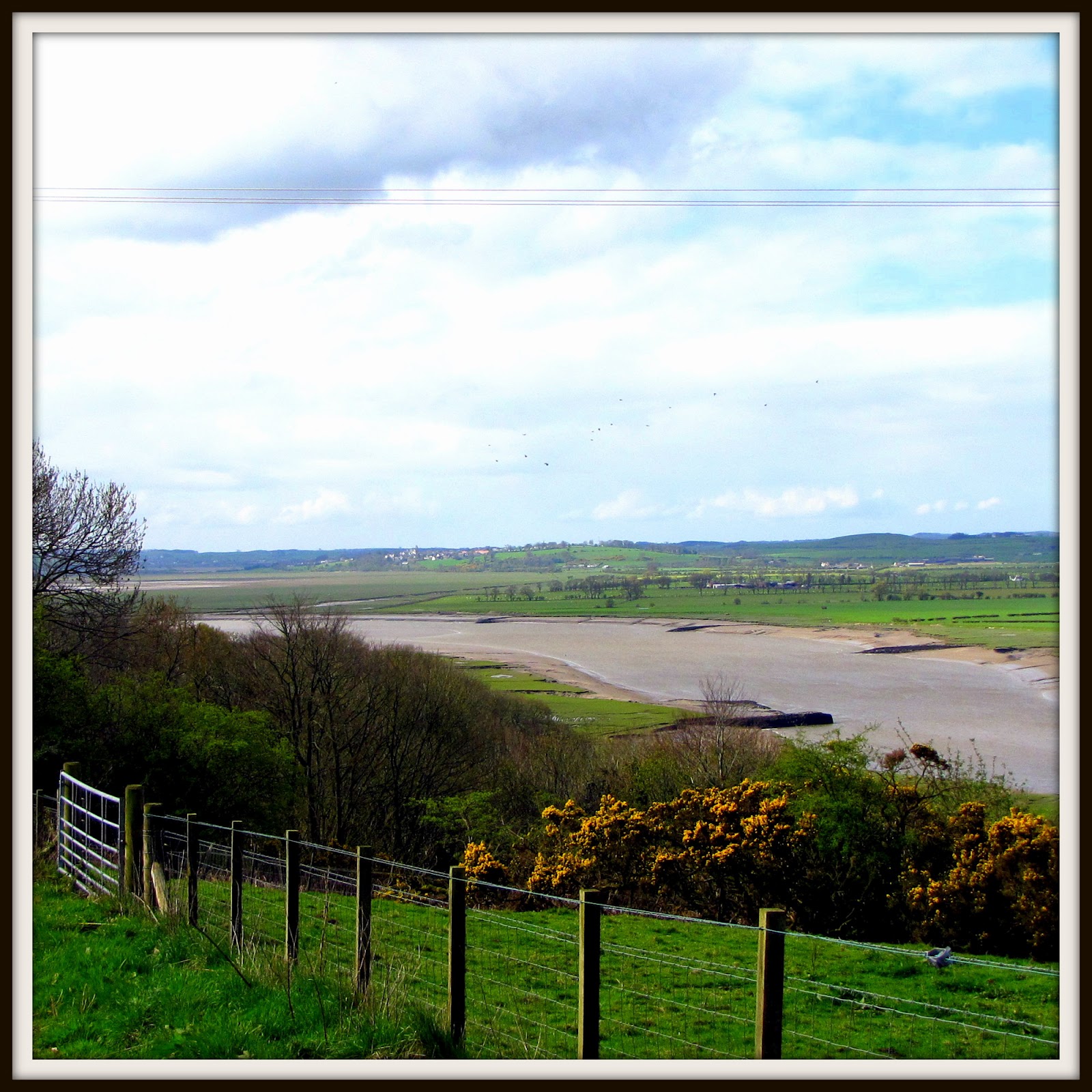 The Glebe Blog: Wigtownshire Ramblers Palnure Creetown April 2012