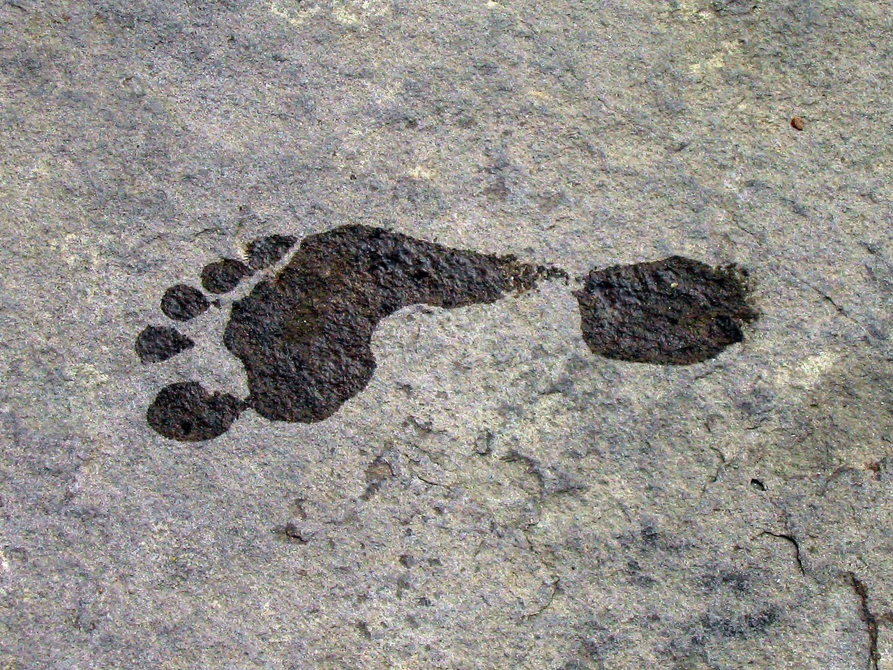 All Major Public Hacks: Footprinting