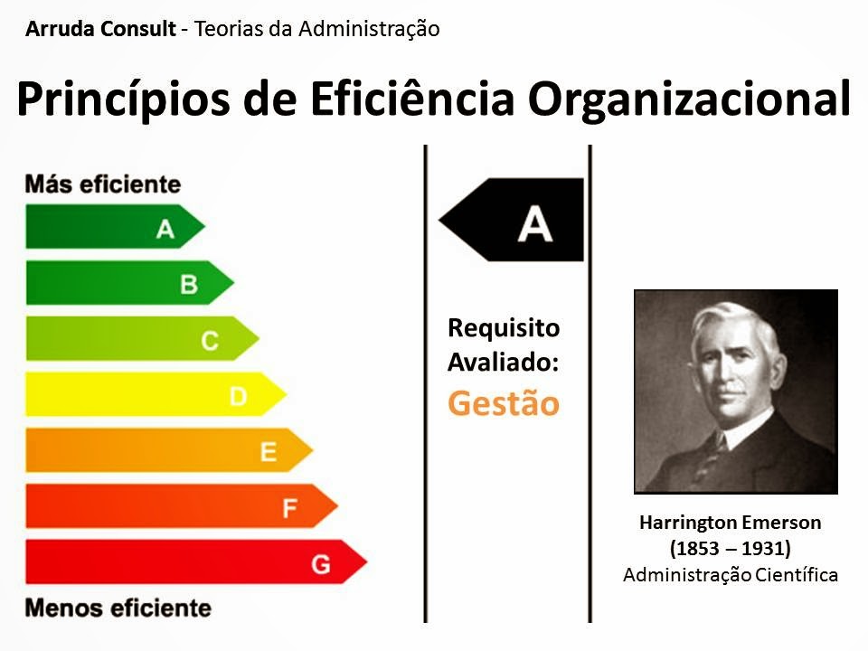 ADMINISTRAÇÃO: PRINCÍPIOS DA EFICIÊNCIA ORGANIZACIONAL - 100 ANOS ATRÁS