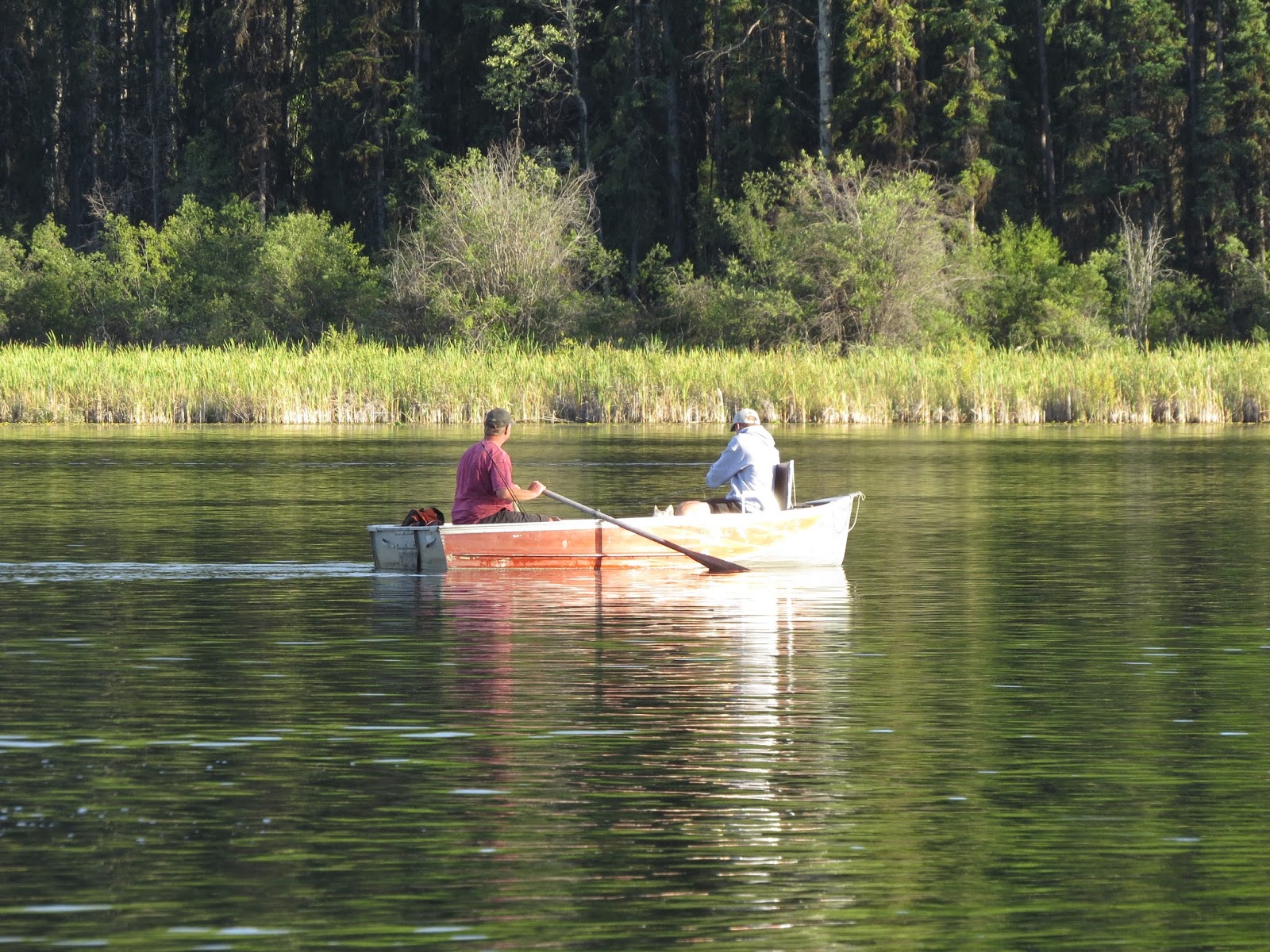 The Cranbrook Guardian: Out and About at Jim Smith Lake
