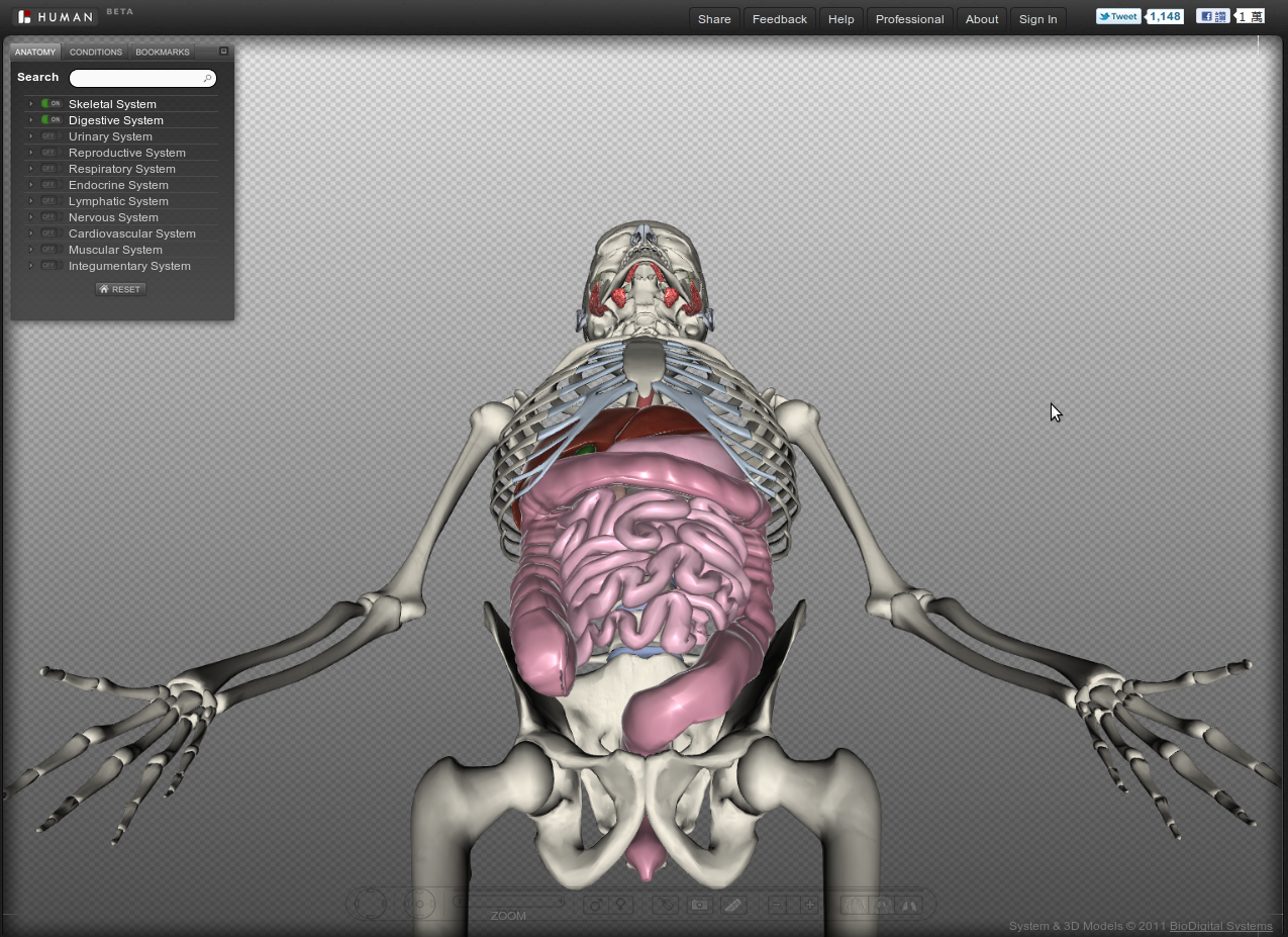 阿簡生物筆記: Bio Digital Human 人體解剖3D模型