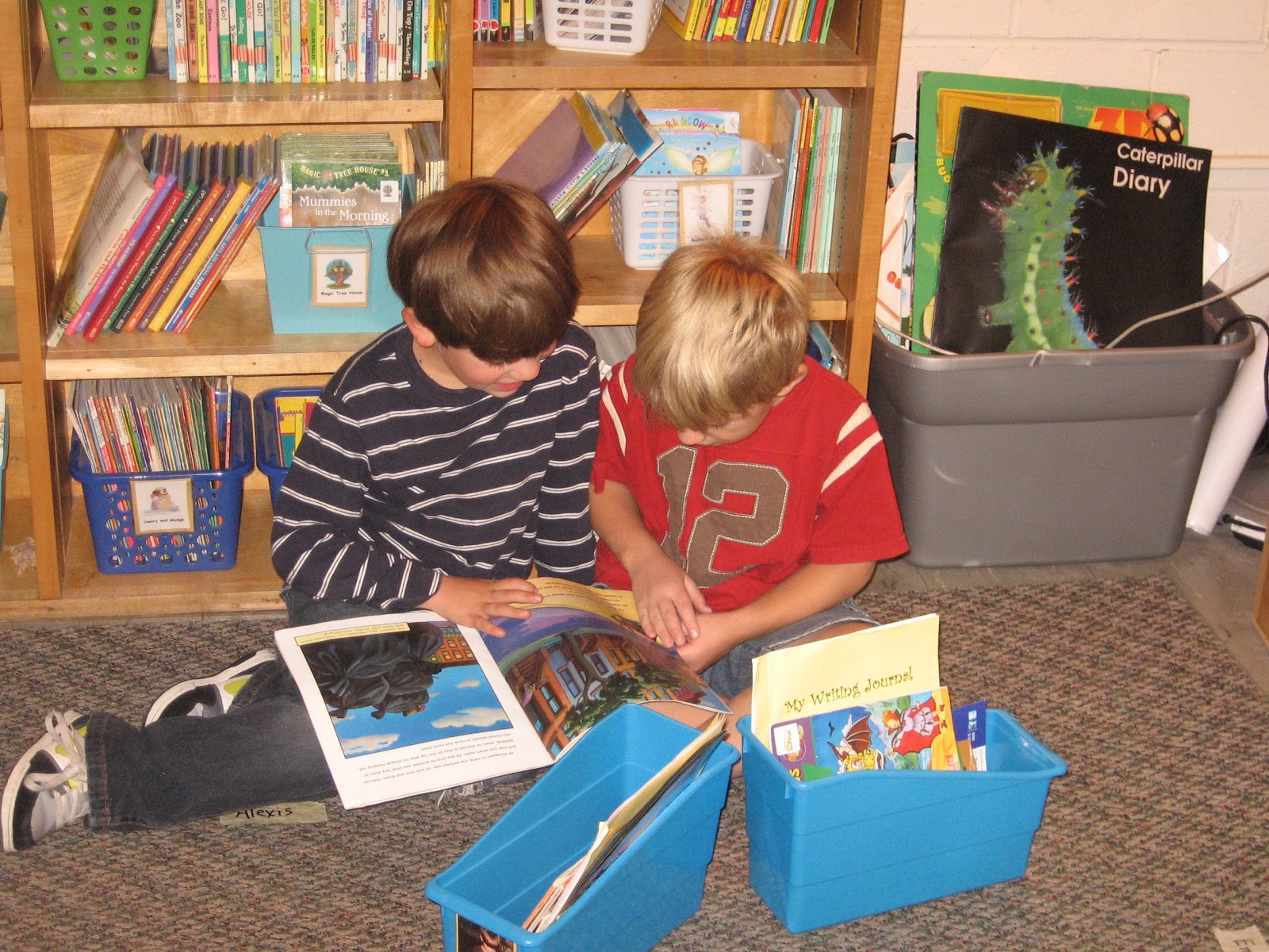 Kindergarten Rocks!!: EEKK!! Partner Reading!