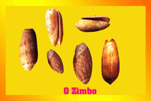 Angola - Terra das Kiandas: Notafilia