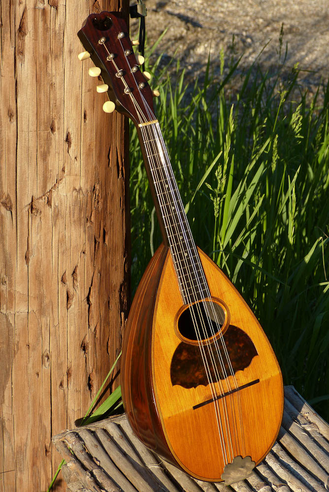 c.1905 Siegel Mayflower-style Bowlback Mandolin