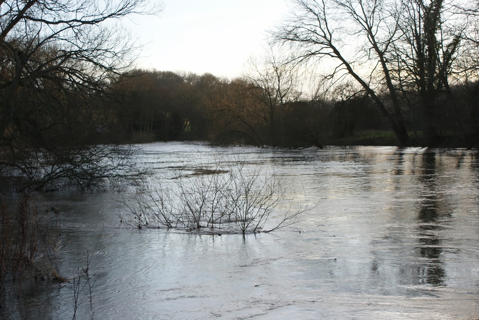 Shropshire Wildlife Meander: Hampton Loade. 25 December 2013.