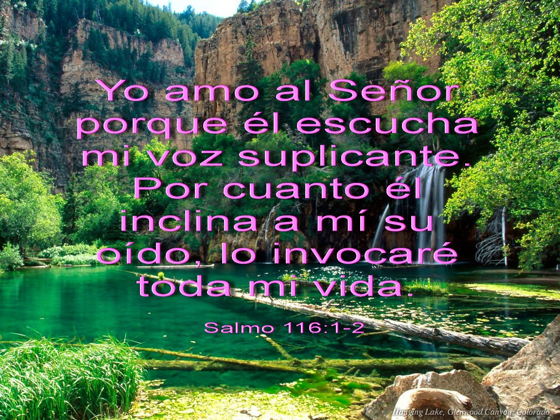 Biblia, paisajes y maravillas: Salmo 116:1-2