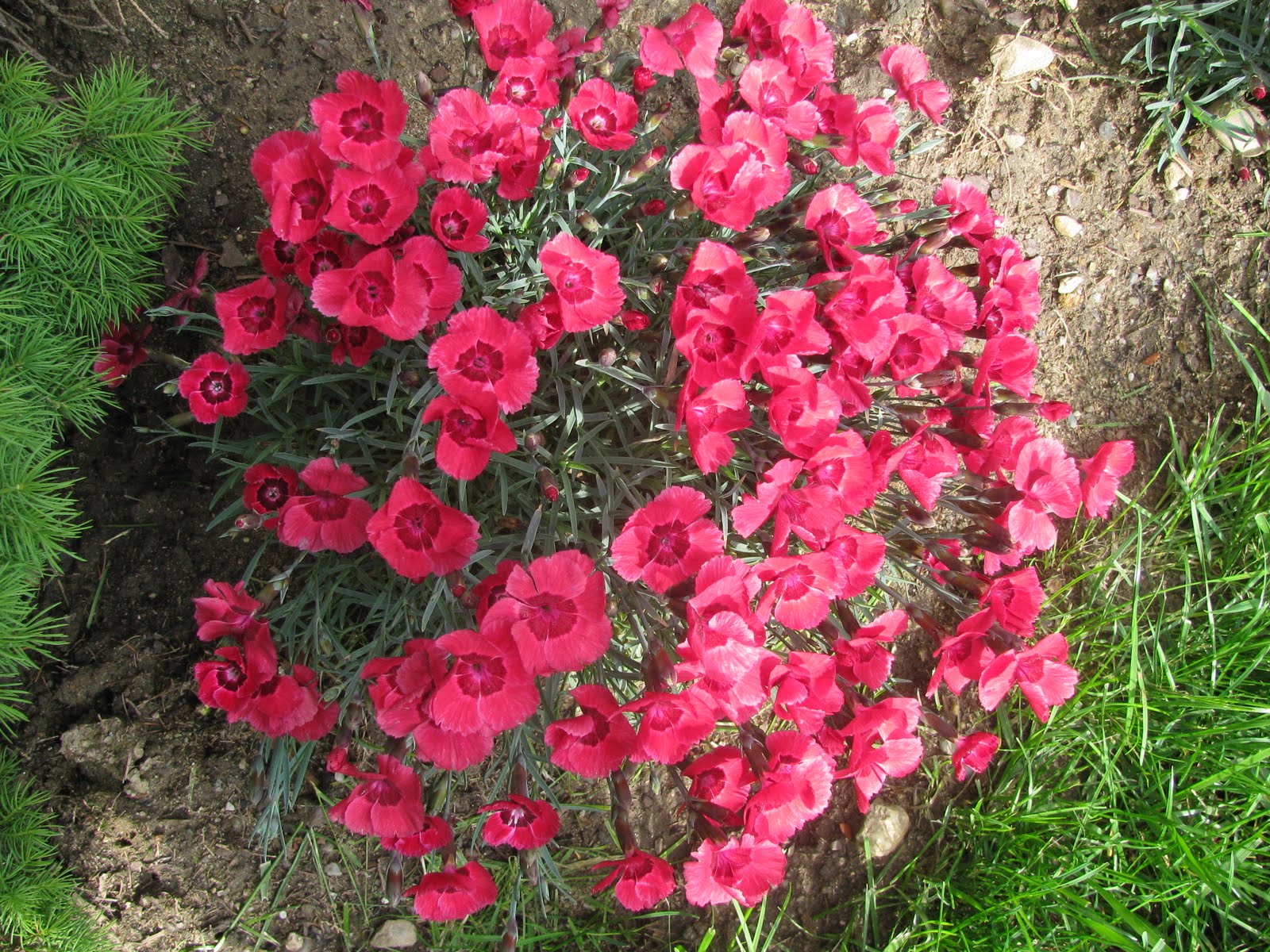 Work of the Poet: Ruby Tuesday