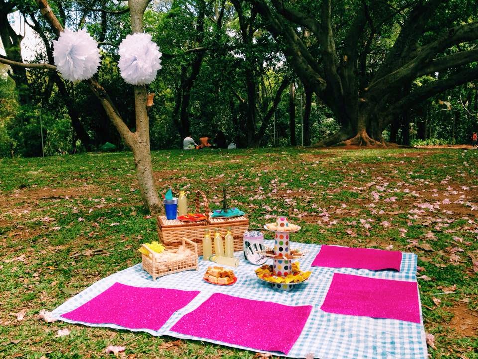 Eventualmente Alicia: Picnic day: Parque Ibirapuera