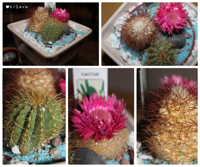 Oi/Love: Random Stuff: Toys