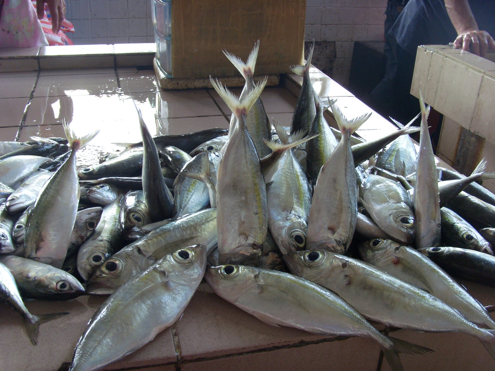 Queencylulu's Blog: Kota Kinabalu's wet market and Filipino market