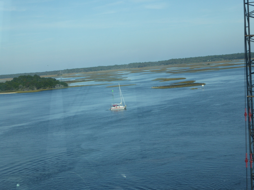Road Runner: Melbourne Beach, Florida