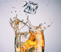 365 Days 365 Business Ideas: Start a Ice Cube Making Business