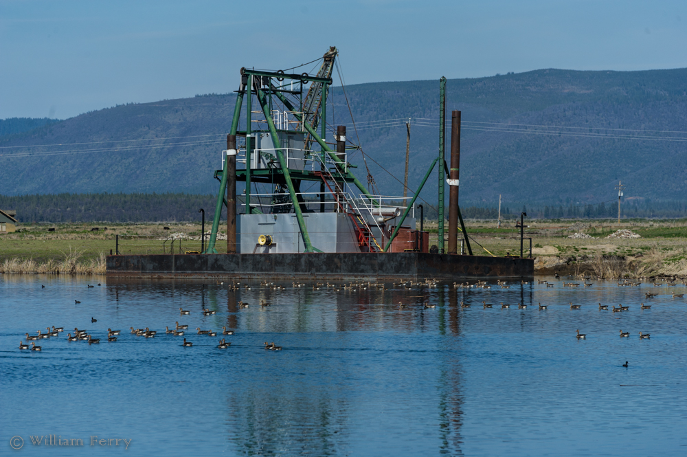FerryTrails: CALIFORNIA DISCOVERY #2