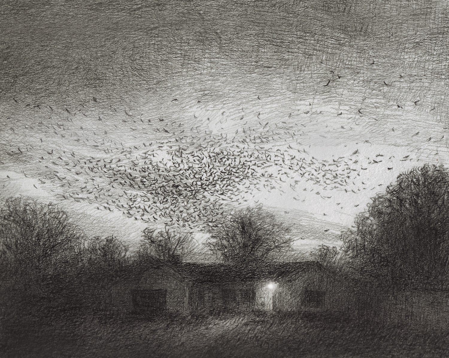 Katherine Kean Fine Art: Suburban Murmuration Drawing