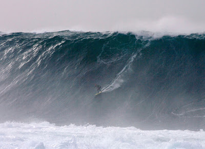 James Geldens Geography Blog: Big Wave Profile - Ghost Tree