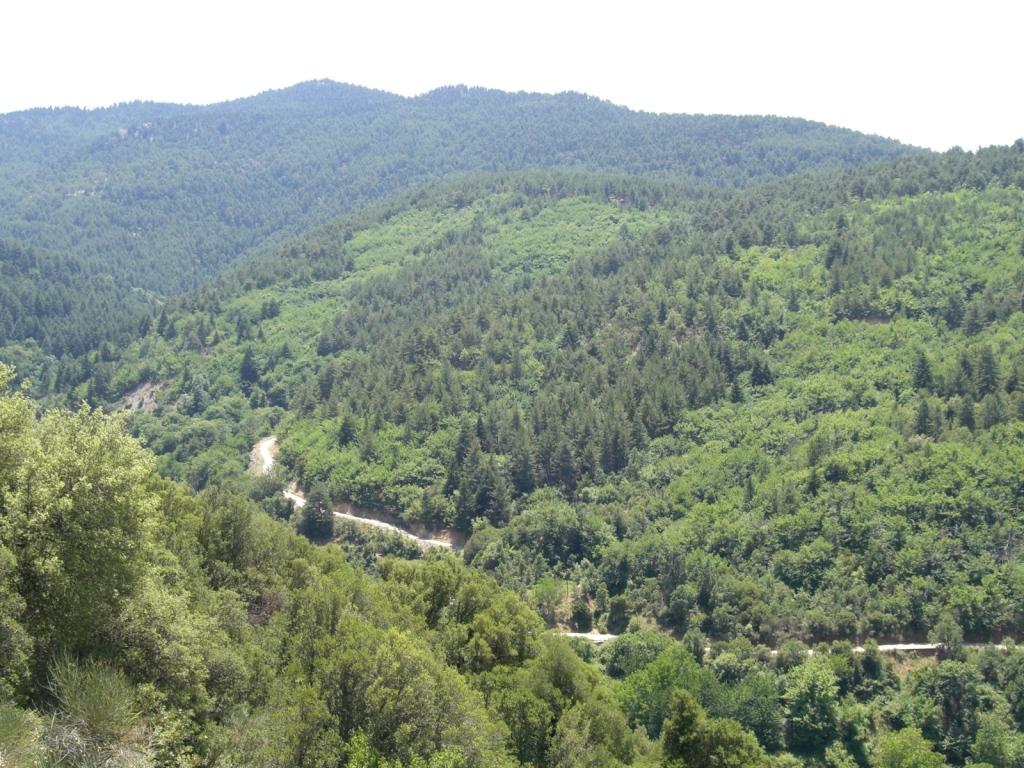 ΒΑΜΒΑΚΟΥ ΠΑΡΝΩΝΑΣ - ένα με την φύση: ΔΕΙΤΕ ΦΩΤΟΓΡΑΦΙΕΣ ΑΠΟ ΤΗΝ ΒΑΜΒΑΚΟΥ