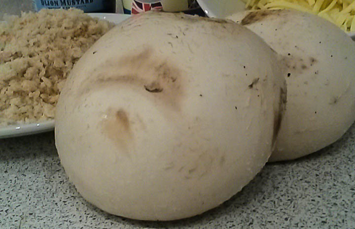 A Girl and the Super Six: Large Flat Mushrooms...