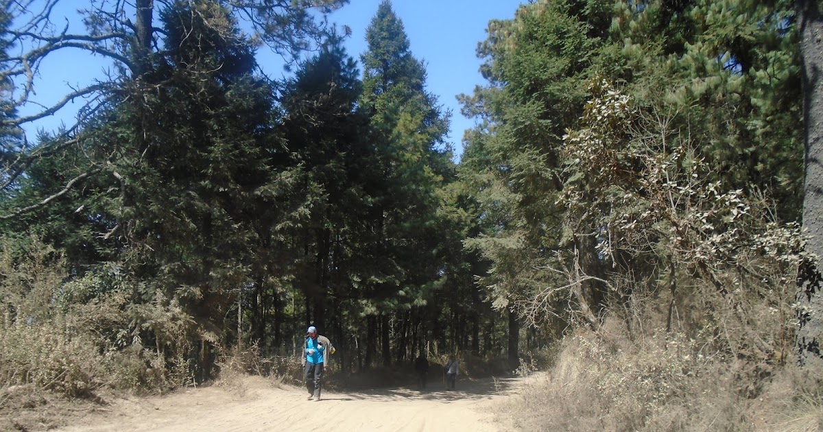 Caminando ando: Introducción y definición